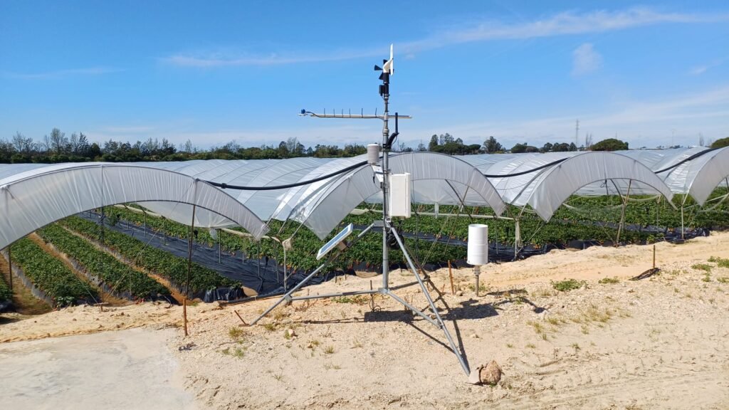 La CR Palos incorpora una nueva estación meteorológica vinculada al ...